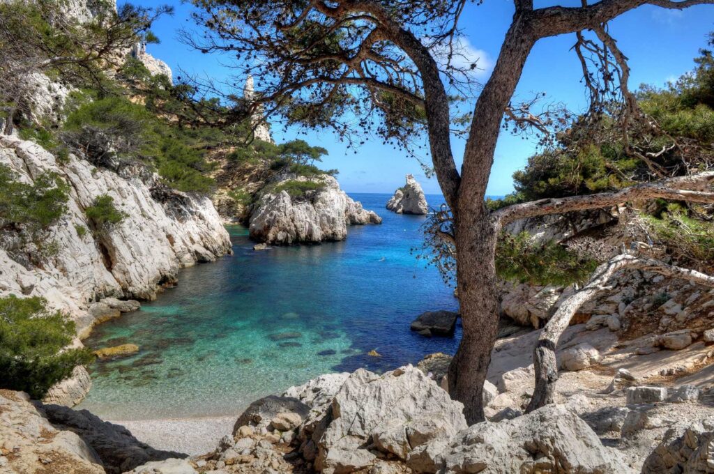 Cassis and its calanques: dream coves for swimming